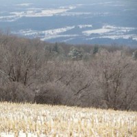 Negative Geography – Probing the limitations of thought and language